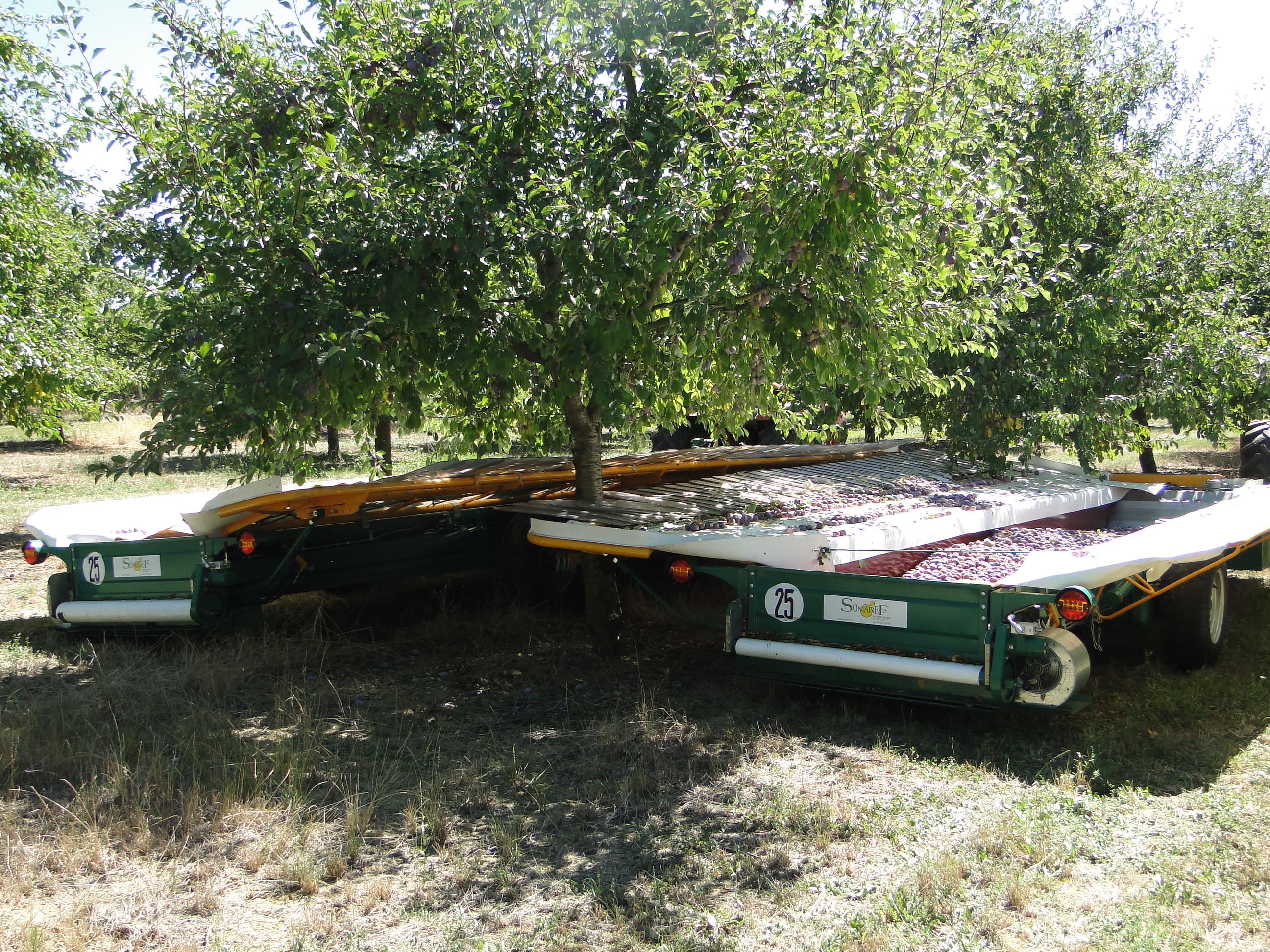 M02 - Bulk double harvest trailer - towed - SOMAREF - SOMAREF